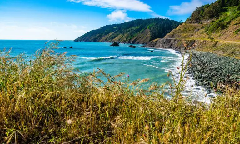 10 Best Beaches Near Fort Bragg Holiday Parrots